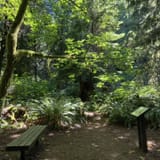 Tradition Lake Loop Trail, Washington - 1,643 Reviews, Map | AllTrails