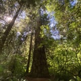 Tradition Lake Loop Trail, Washington - 1,643 Reviews, Map | AllTrails