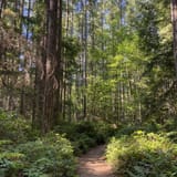 Tradition Lake Loop Trail, Washington - 1,643 Reviews, Map | AllTrails