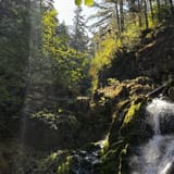 Little Mashel Falls Trail via Bud Blancher Trail, Washington - 4,074 ...