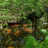 Barn Island Wildlife Management Area Trail, Connecticut - 715 Reviews ...