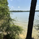 Harris Lake Peninsula Trail, North Carolina - 2,107 Reviews, Map ...