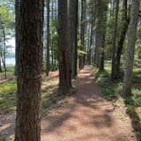 Harris Lake Peninsula Trail, North Carolina - 2,107 Reviews, Map ...