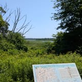 Barn Island Wildlife Management Area Trail, Connecticut - 715 Reviews ...