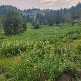 Bogus Basin Loop Trail, Idaho - 252 Reviews, Map | AllTrails