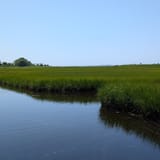 Barn Island Wildlife Management Area Trail, Connecticut - 715 Reviews ...