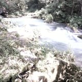 Greer Spring Trail, Missouri - 338 Reviews, Map | AllTrails