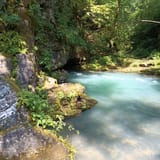 Greer Spring Trail, Missouri - 338 Reviews, Map | AllTrails