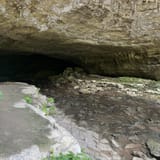 Buggytop Trail to Lost Cove Cave, Tennessee - 773 Reviews, Map | AllTrails