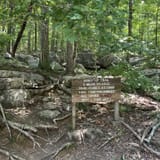 Buggytop Trail to Lost Cove Cave, Tennessee - 773 Reviews, Map | AllTrails