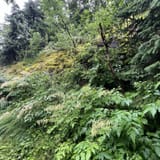 Nugget Falls Trail, Alaska - 1,392 Reviews, Map | AllTrails