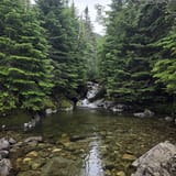 Mount Haystack Trail, New York - 635 Reviews, Map | AllTrails