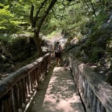 Deep Creek Loop Trail, North Carolina - 2,158 Reviews, Map | AllTrails
