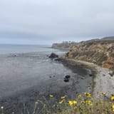 Terranea Discovery Trail, California - 1,577 Reviews, Map | AllTrails
