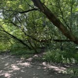 High Park Loop, Ontario, Canada - 1,154 Reviews, Map | AllTrails