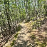 Bull Hill Short Loop, New York - 5,438 Reviews, Map | AllTrails