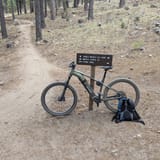 Dry Pond Loop, Nevada - 1,640 Reviews, Map | AllTrails