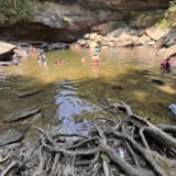 Greeter Falls Loop, Tennessee - 1,419 Reviews, Map | AllTrails