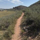 Devil's Backbone Nature Trail, Colorado - 2,249 Reviews, Map | AllTrails