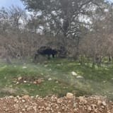 Texas Hill Country Overland Route, Texas - 505 Reviews, Map | AllTrails