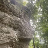 Raven Rock Loop Trail, North Carolina - 2,689 Reviews, Map | AllTrails
