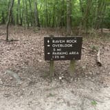 Raven Rock Loop Trail, North Carolina - 2,689 Reviews, Map | AllTrails