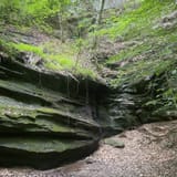 Raven Rock Loop Trail, North Carolina - 2,689 Reviews, Map | AllTrails