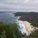 Tomaree Coastal Walk, New South Wales, Australia - 88 Reviews, Map ...