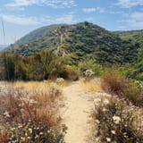 Wisdom Tree, Cahuenga Peak and Mount Lee Summit Loop, California ...