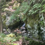 Mount Toby Trail, Massachusetts - 1,163 Reviews, Map | AllTrails