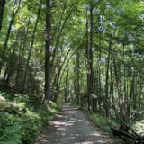 Mount Toby Trail, Massachusetts - 1,163 Reviews, Map | AllTrails