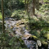 Mount Toby Trail, Massachusetts - 1,163 Reviews, Map | AllTrails