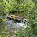 Government Springs 95A, Arizona - 631 Reviews, Map | AllTrails