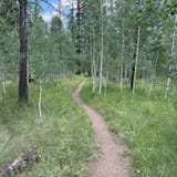 Government Springs 95A, Arizona - 631 Reviews, Map | AllTrails