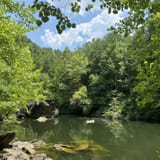 Pine Log Creek Trail, Georgia - 2,549 Reviews, Map | AllTrails