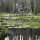 Grandaddy Basin Loop, Utah - 94 Reviews, Map | AllTrails