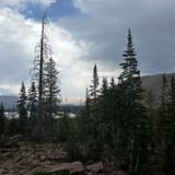 Grandaddy Basin Loop, Utah - 94 Reviews, Map | AllTrails