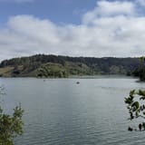 Lake Chabot Loop via West, Bass, Columbine, Honker, East Shore Trails ...