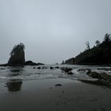 Second Beach, Washington - 1,918 Reviews, Map | AllTrails