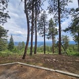Animas Overlook Trail, Colorado - 133 Reviews, Map | AllTrails