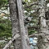 Mount Nancy via Nancy Pond Trail, New Hampshire - 202 Reviews, Map ...