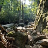 Ramsey Cascades Trail, Tennessee - 2,495 Reviews, Map | AllTrails