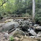 Ramsey Cascades Trail, Tennessee - 2,495 Reviews, Map | AllTrails