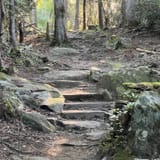Ramsey Cascades Trail, Tennessee - 2,495 Reviews, Map | AllTrails