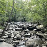 Ramsey Cascades Trail, Tennessee - 2,495 Reviews, Map | AllTrails