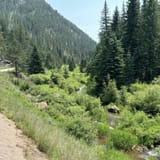 George S. Mickelson Trail, South Dakota - 493 Reviews, Map | AllTrails