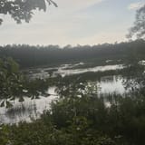 Batsto Lake Trail, New Jersey - 1,834 Reviews, Map | AllTrails