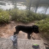 Batsto Lake Trail, New Jersey - 1,834 Reviews, Map | AllTrails