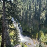 Lemolo Falls Trail, Oregon - 403 Reviews, Map | AllTrails