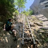 Crane Mountain Loop Hike, New York - 1,396 Reviews, Map | AllTrails